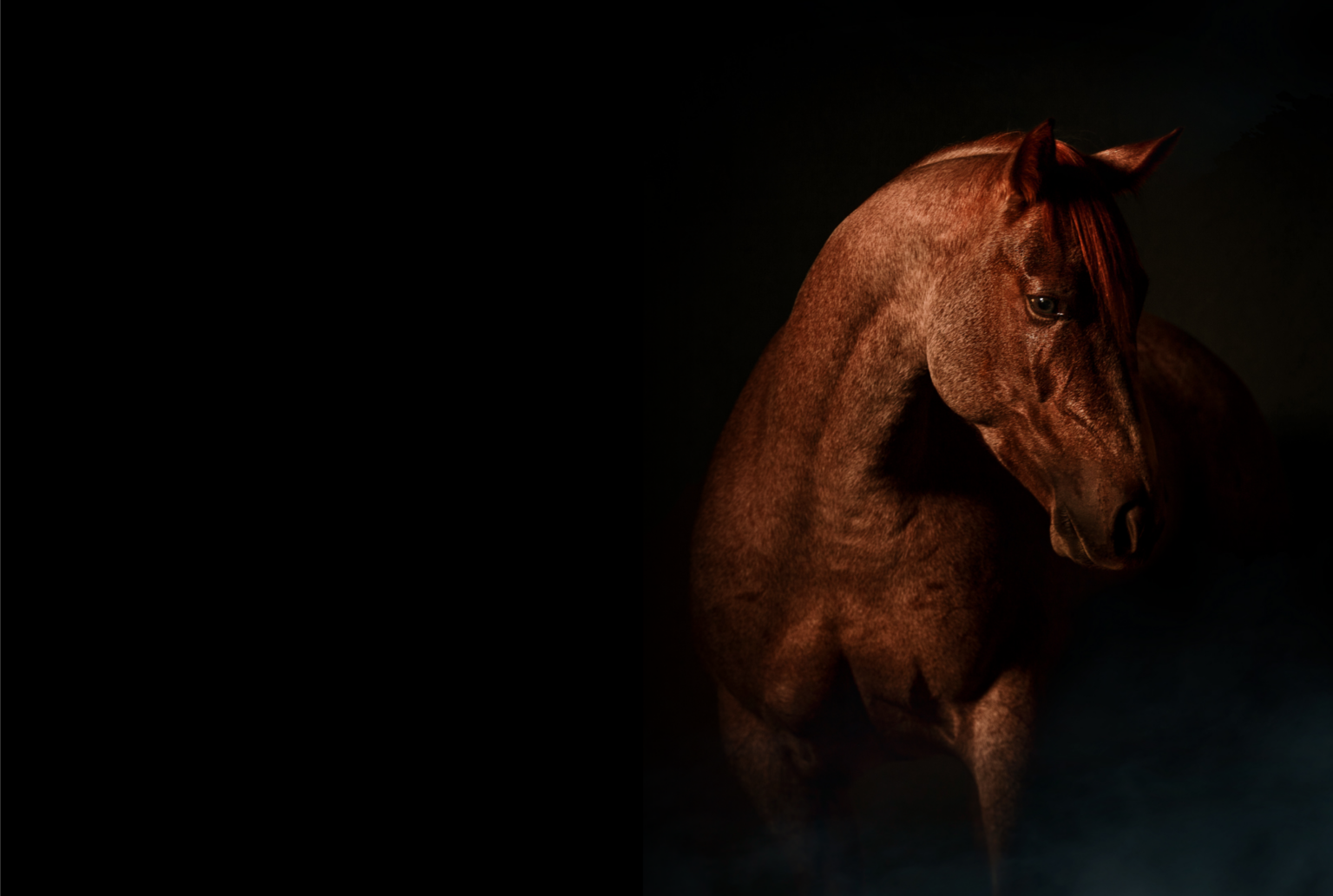 TR9 Breeding Program - Teton Ridge