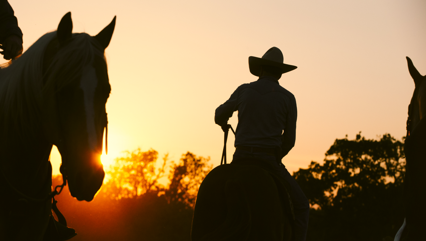 Entertainment | Teton Ridge