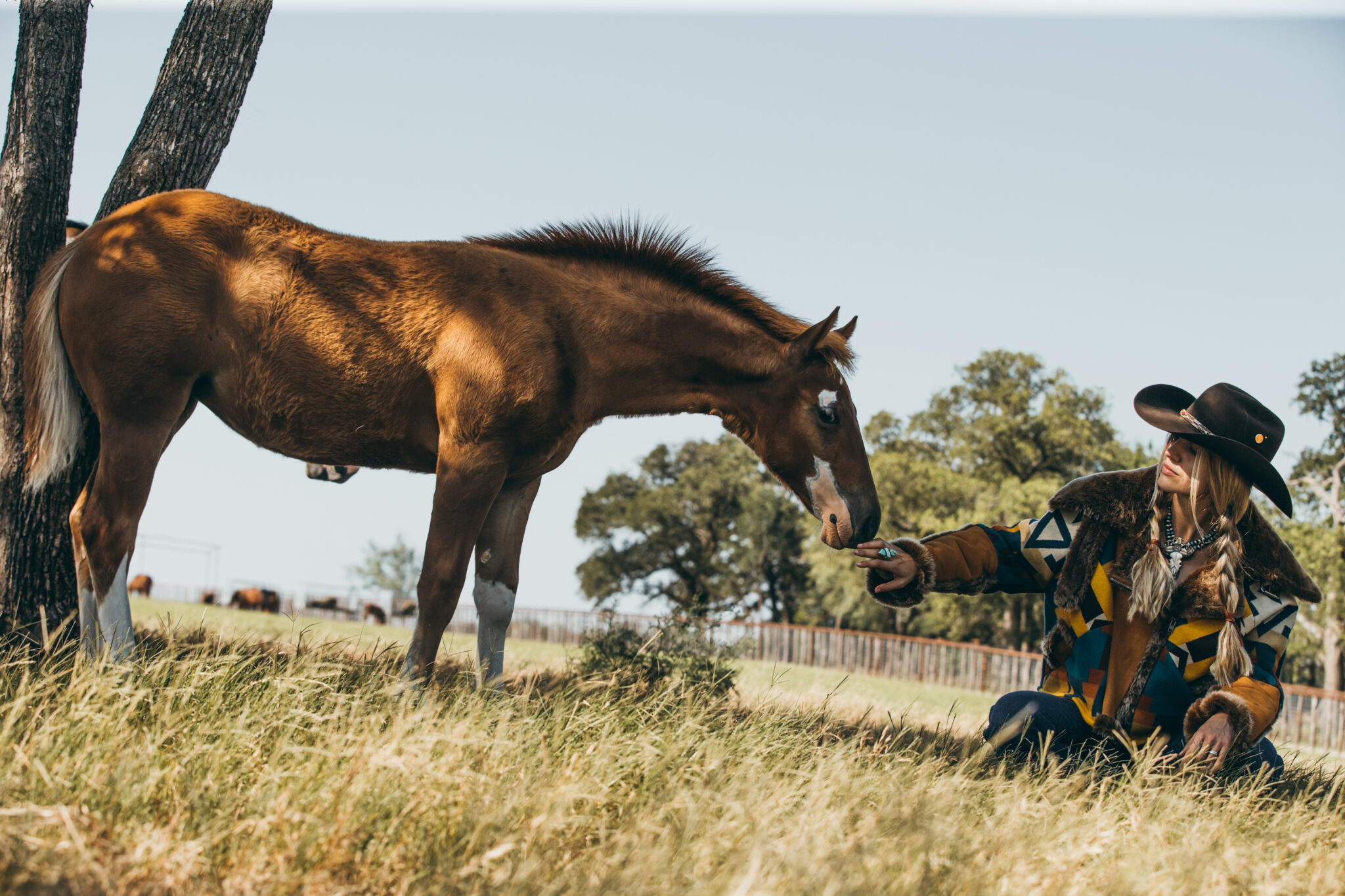 Entertainment | Teton Ridge