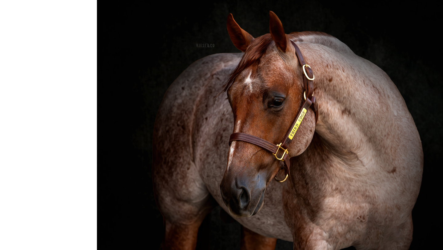 TR9 Breeding Program - Teton Ridge